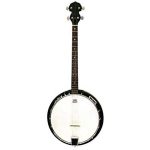 20 Best Beginner Banjos 2026 (All Price Ranges) - Guitar Lobby