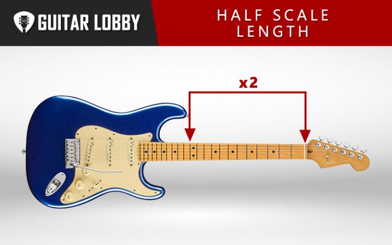 Guitar Sizes Explained (Acoustic & Electric) 2024 - Guitar Lobby