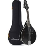 21 Best Mandolins in 2023 (Beginner to Professional) - Guitar Lobby