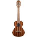 15 Different Types of Ukuleles Explained (2025) - Guitar Lobby