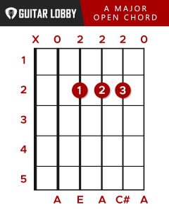 A Guitar Chord Guide: 9 Variations & How to Play (2023) - Guitar Lobby