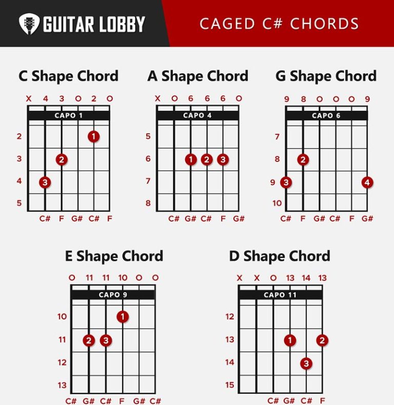 C# Guitar Chord Guide: 7 Variations & How to Play (2023) - Guitar Lobby